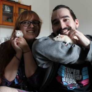 Dig Boxes For Pet Rats: Safe Materials, Sizes And What To Put In